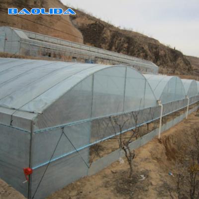 China Vegetable Multiple Tunnel Plastic Film Sheet Covering Multi Span Greenhouse for sale