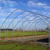 China Single Layer Polyethylene Film Greenhouse Steel Structure Anti Rust for sale