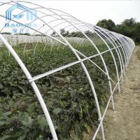 China Side Ventilation Tunnel Plastic Greenhouse Cold And Wind Resistant for sale