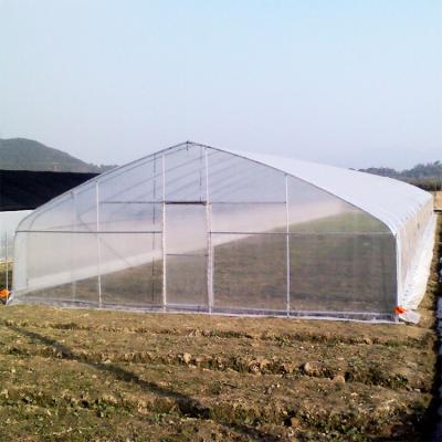 China High Strength Agricultural Poly Tunnel Tomato Greenhouse 5*15m 17*50ft for sale