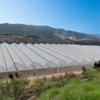 China Multi Span Agricultural / Commercial Hydrophonic Greenhouse Easily Installed for sale