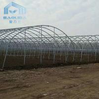 China galvanized steel pipe Single-Span Film Commercial Tunnel Plastic Greenhouse for agriculture plants growing for sale