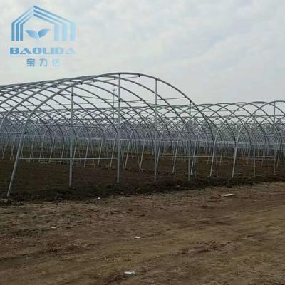 China galvanized steel pipe Single-Span Film Commercial Tunnel Plastic Greenhouse for agriculture plants growing for sale