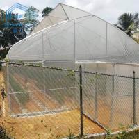 China Customized High Tunnel Polytunnel Double Film Greenhouse Sawtooth Tunnel Plastic Greenhouse for sale