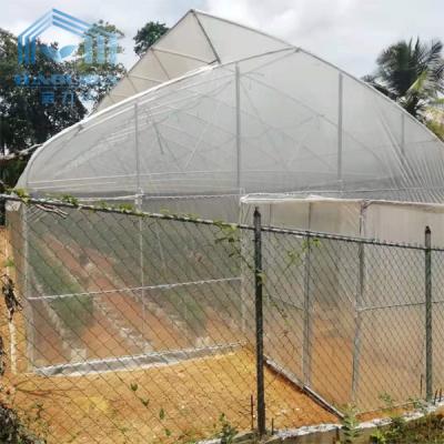 China Customized High Tunnel Polytunnel Double Film Greenhouse Sawtooth Tunnel Plastic Greenhouse for sale