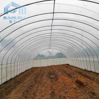 China Winter Warm Tomato Anti Fogging Non Drop Plastic Film Greenhouse Tunnel Plastic Greenhouse for sale