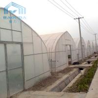 China Tropical Plastic Film Cross Top Sawtooth Greenhouse Single Span Tunnel Plastic Greenhouse for sale