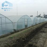 China Plastic Tunnel Single Span Greenhouse Agricultural For Strawberry for sale