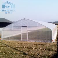 China Agricultural Tomatoes Single Layer Greenhouse With 80 Micron Film for sale