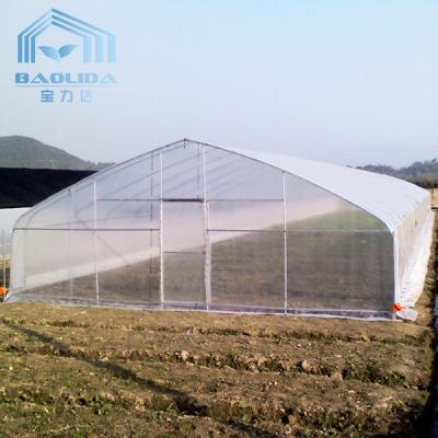 China Agricultural Tomatoes Single Layer Greenhouse With 80 Micron Film for sale