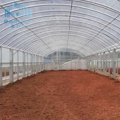 China Agriculture Plastic Single Span Greenhouse With Poly Tunnel Steel Frame Double Film for sale