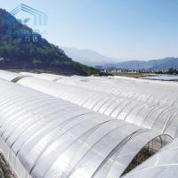 China Gotica Personalizzata 150 Micron Pe Film Strawberry Growing Greenhouse Gothic for sale