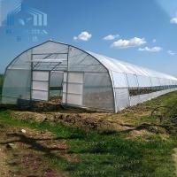 China Roof Ventilation Tunnel Plastic Greenhouse With Cooling System for sale