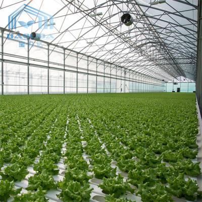 China Aquaponis Growing Poly Tunnel Plastic Greenhouse For Agriculture for sale