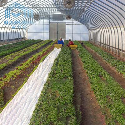 China Polytunnel Zinc Steel Frame Greenhouse PE Membranes Covering for sale