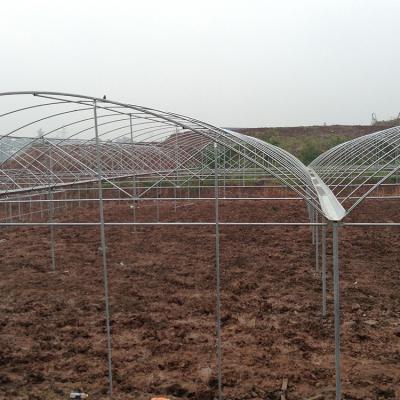 China Multi Arch Plastic Film Rainout Shelter Greenhouse For Strawberry for sale