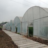 China High Tunnel Pe Film Multi Span Greenhouse Automatic Control Agriculture Hydroponic for sale