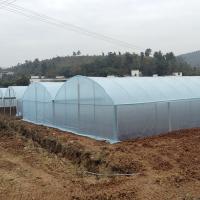 China Agriculture Plastic Film Multi Span Greenhouse Tomato Strawberry Hydroponic for sale