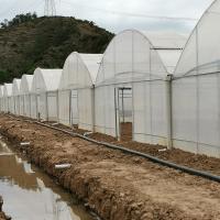 China Transparent Glass Tunnel Multispan Greenhouse Plant Cultivation for sale