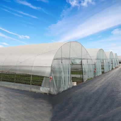 China 150mic PE Film Tunnel Plastic Greenhouse With Galvanized Steel Frame for sale