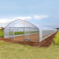 China 30m Length Single Span Plastic Sheeting Film Greenhouse For Tomato Cultivation for sale