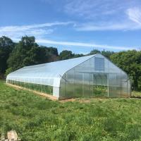 China Tunnel Greenhouse Galvanized Steel Frame Structure Pipe Pe UV Plastic Film Vergetables Single-span Greenhouse for sale