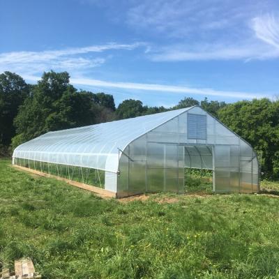 China Tunnel Greenhouse Galvanized Steel Frame Structure Pipe Pe UV Plastic Film Vergetables Single-span Greenhouse for sale