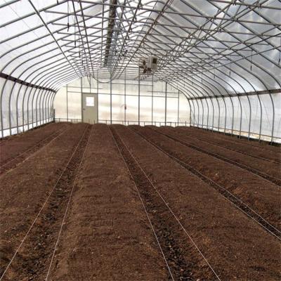China Gothic Arch Side Ventilation Plastic Film Greenhouse Single Span For Agriculture for sale