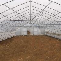 China Single Span High Tunnel Greenhouse Single Layer Film For Tomatoes Agricultural for sale