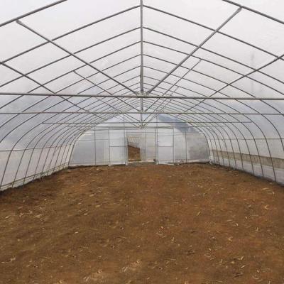 China Single Span High Tunnel Greenhouse Single Layer Film For Tomatoes Agricultural for sale