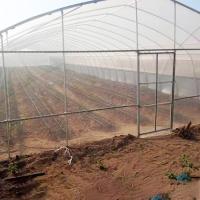 China Single Span Plastic Tunnel Greenhouse Commercial Agricultural for sale