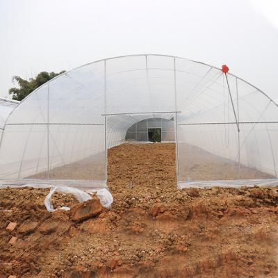 China Anti Aging Film Micron Anti Uv Plastic Greenhouse Agriculture Vegetables Planting for sale