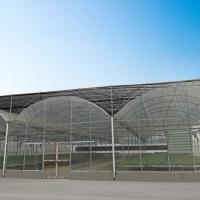 China Transparent Glass Tunnel Multispan Greenhouse Plant Cultivation for sale