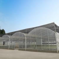 China Poly Film Multi Span Greenhouse with Rolling Benches Seeding Nursery Ventilation for sale