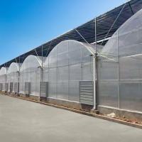 China Transparent Glass Tunnel Multispan Greenhouse Plant Cultivation for sale