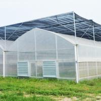 China High Tech 200 Micron Greenhouse Automatic Plastic Film Multi Span Wind Resistant for sale
