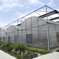 China Strawberries Seedbed Nursery Multi Span Greenhouses with Inner Shading System for sale