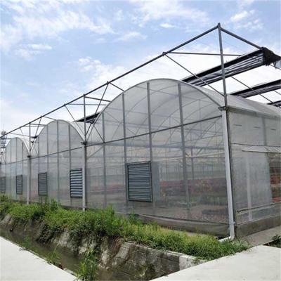 China Strawberries Seedbed Nursery Multi Span Greenhouses with Inner Shading System for sale