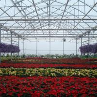 China High Tunnel Gutters Air Circulation Multi Span Greenhouse for Flowers Growing for sale