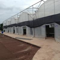 China Rolling Benches Seedling Nursery Multi Span Greenhouses Galvanized Steel for sale