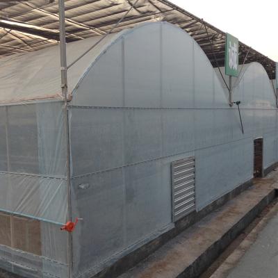 China Hydroponic Growing System Multi Span Greenhouse Plastic Film Shading Net for sale