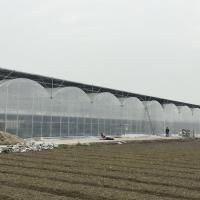 China Inner Shading System Side Ventilation Multi Span Greenhouse Automatic Control for sale
