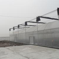 China PE Film Tunnel Multi Span Greenhouse High Large Size Anti UV Multi Span Greenhouse for sale