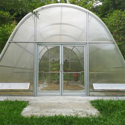 China Solar Single Tunnel Greenhouse Polycarbonate Sheet Natural Rubber Drying for sale