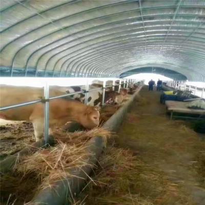 China Poly Tunnel Greenhouse Poultry Farm For Sheep Chicken for sale