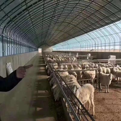 China Poultry Winter Chicken Hoop House Poultry Farming Equipment for sale