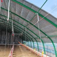 China Agriculture Poultry Farming Chicken Heated Greenhouse Automatic for sale