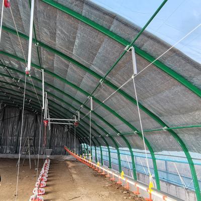 China Agriculture Poultry Farming Chicken Heated Greenhouse Automatic for sale