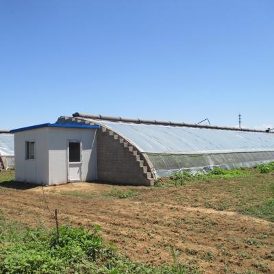 China Tomato Passive Solar Greenhouse With Electric Roll Up Ventilation for sale