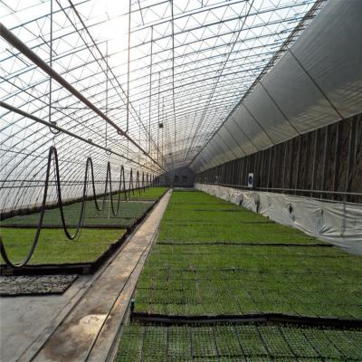China Passive Solar Quilt Tunnel Single Span Greenhouse for Cold Area for sale